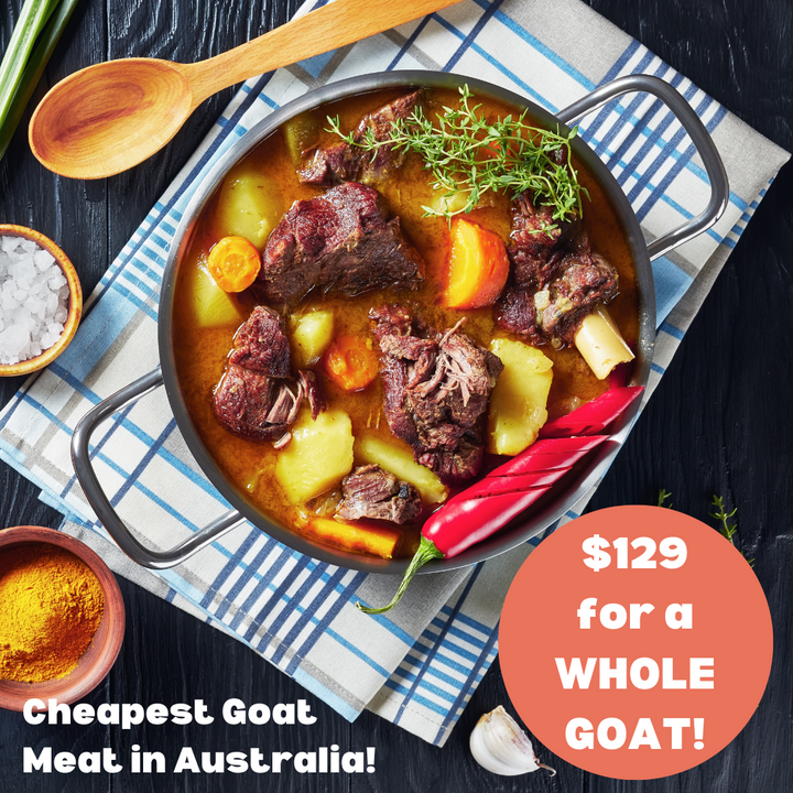 South Aussie With Cosi